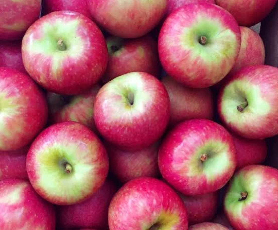 Pink Lady Apples – Discount Grocery Warehouse